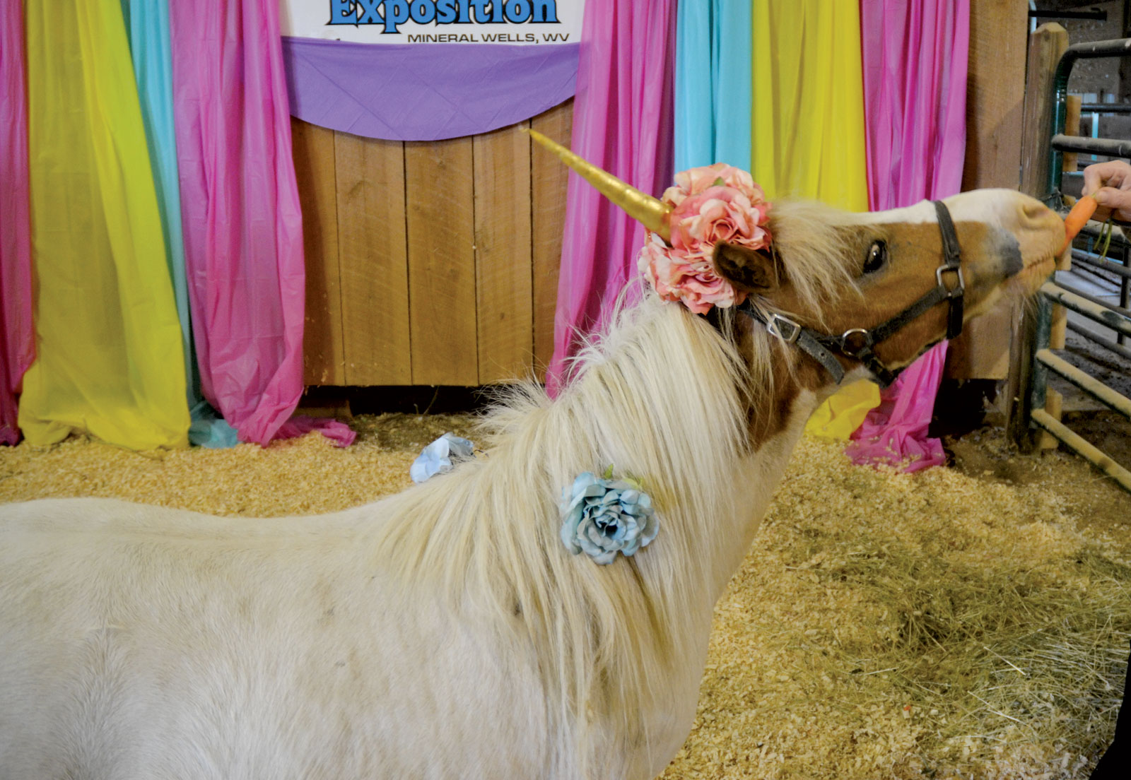 06-21-23-Interstate-Fair-7-tle | News, Sports, Jobs - News and Sentinel